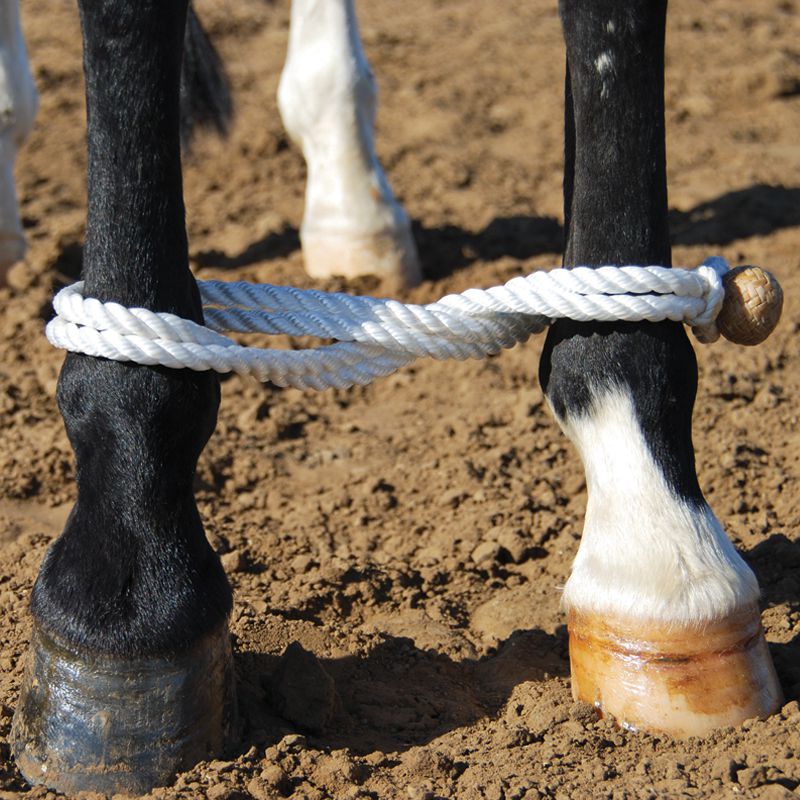 Martin Saddlery Rope Hobble – K and A Tack